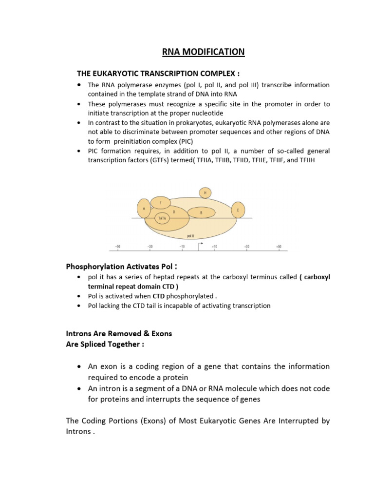 RNA MODIFICATION | PDF