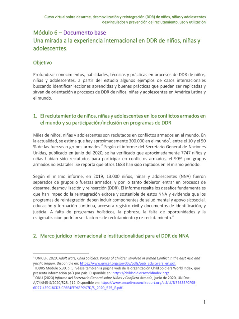 Moìdulo 6. Documento base. Curso DDR | PDF | Naciones Unidas ...