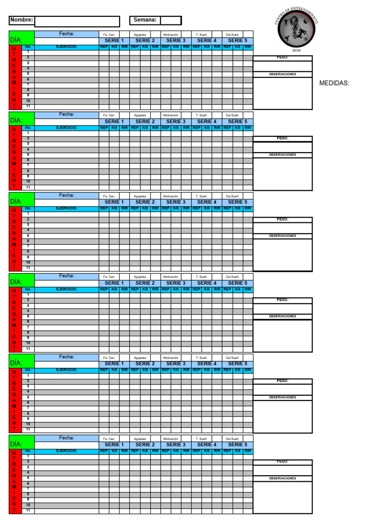 Diario de Entrenamiento Iroh.-1 | PDF | Tecnología | Historia