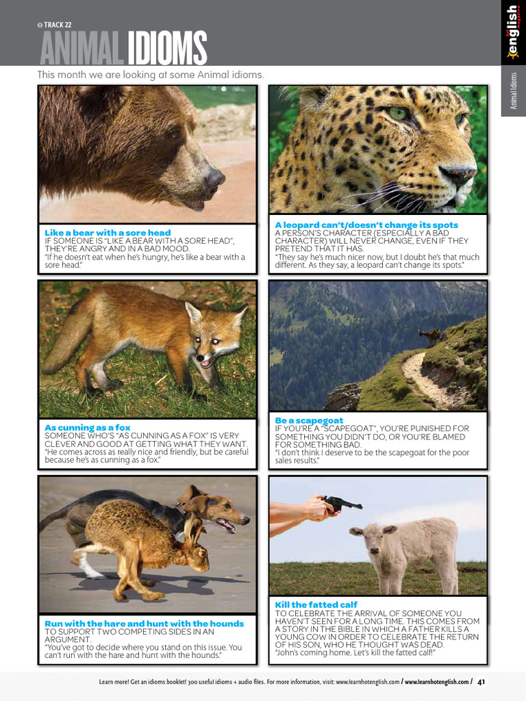 LR IDIOMS B1 HEM153 Animal 22 | PDF