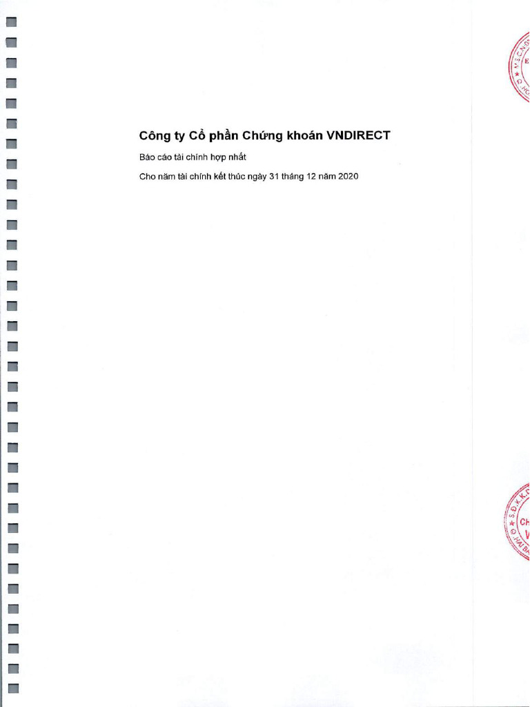 VND Baocaotaichinh 2020 Kiemtoan Hopnhat | PDF