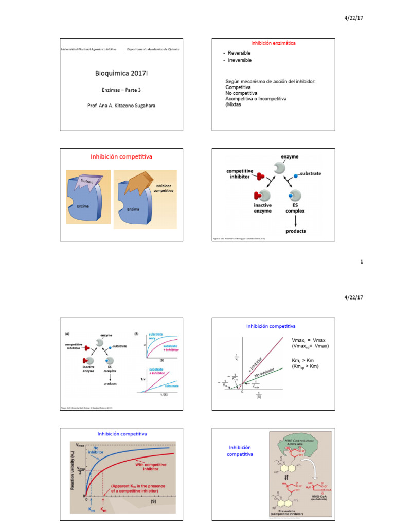 Inhibición enzimática y regulación | PDF | Inhibidor de la enzima | Enzima