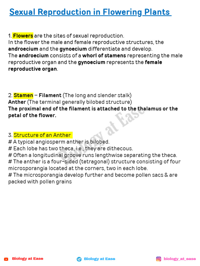 Reproduction Unit Notes | PDF | Menstrual Cycle | Pollination