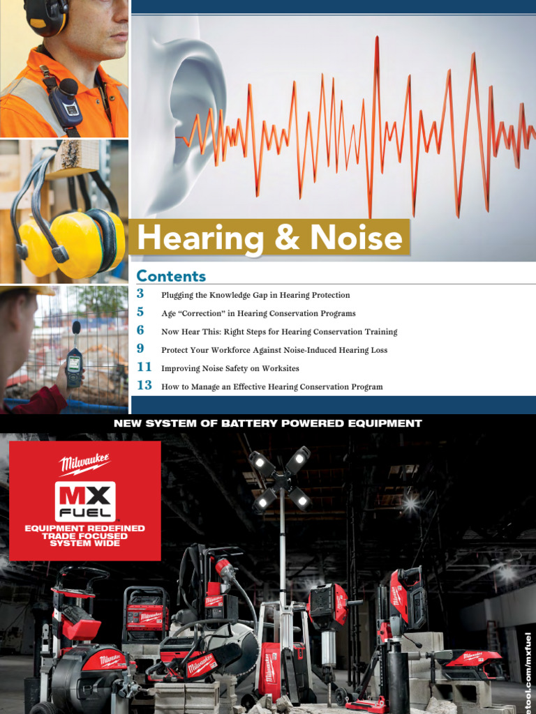 Noise 2021 | PDF | Noise | Occupational Safety And Health