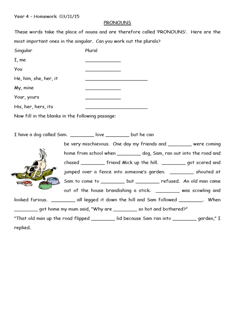 Year 4 Homework | PDF | Grammatical Number | Noun