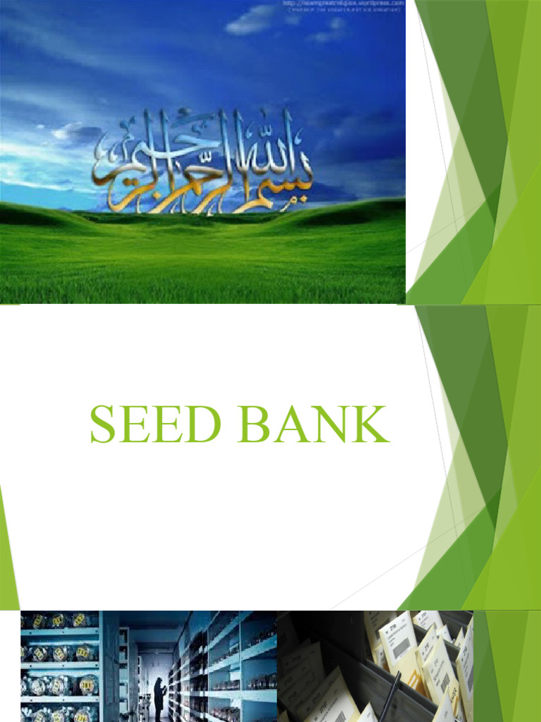 Types and Importance of Seed Banks | PDF | Ecology | Horticulture
