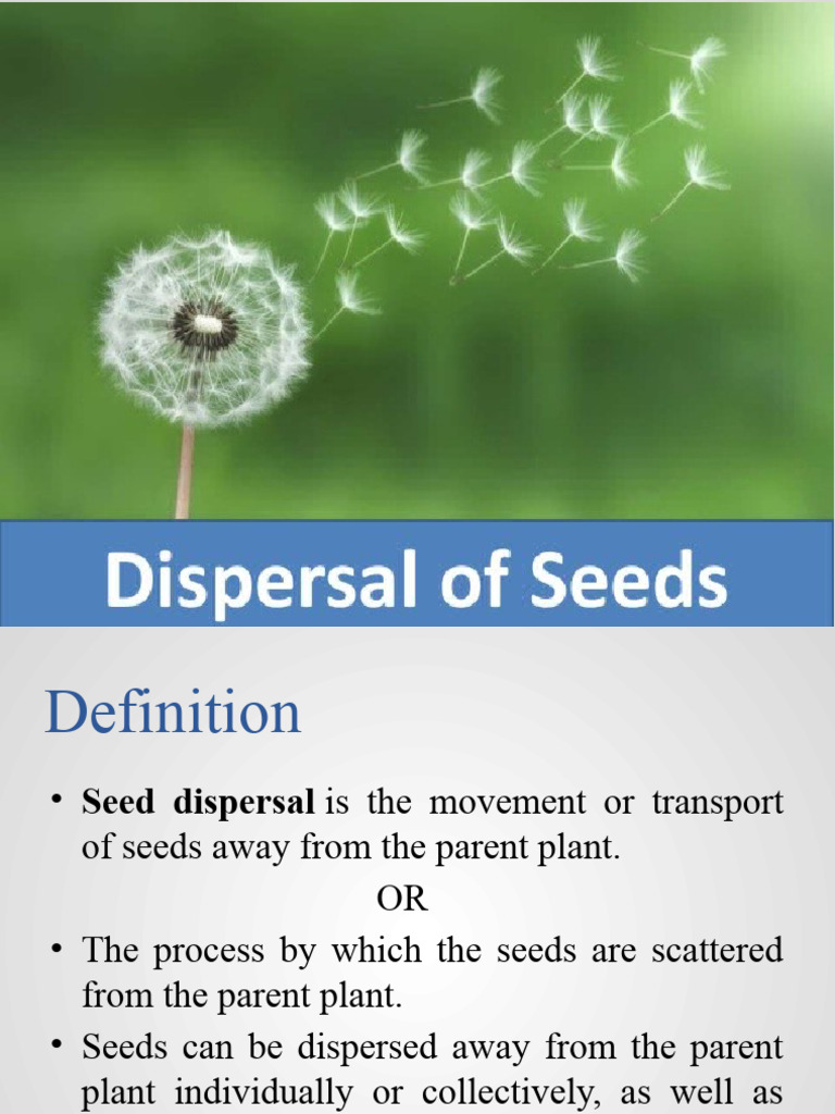 Lecture 3 Seed Dispersal | PDF | Plants | Botany