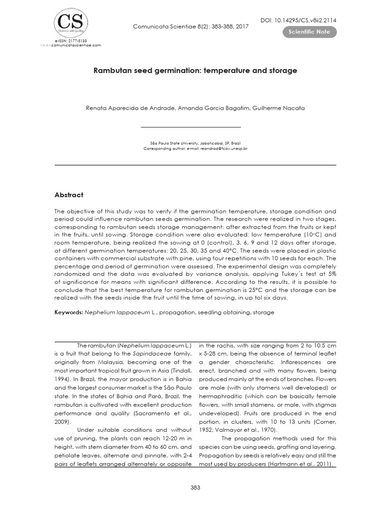 Rambutan Seed Germination Study | PDF | Seed | Germination
