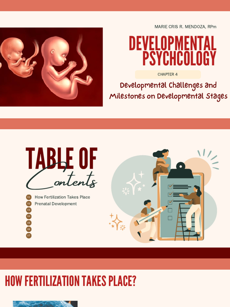 Chapter 4 Devt Psych 074456 | PDF | Prenatal Development | Fetus