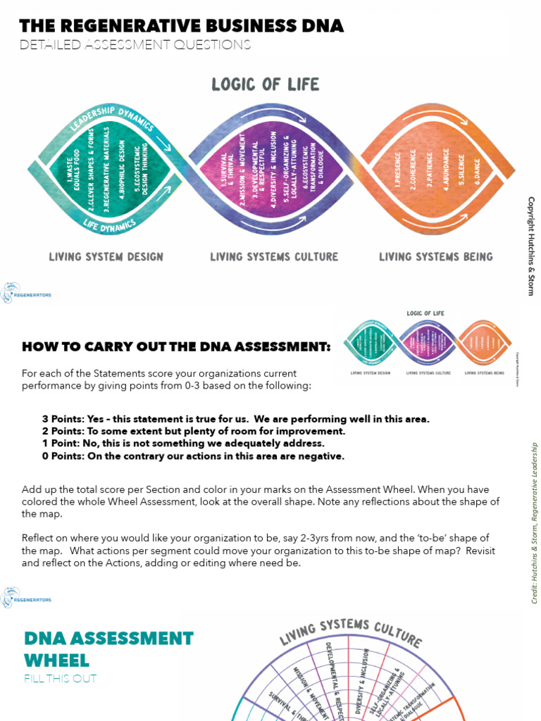 Capital Institute - Laura Storm - REGENERATIVE DNA ASSESSMENT QUESTIONS | PDF | Leadership