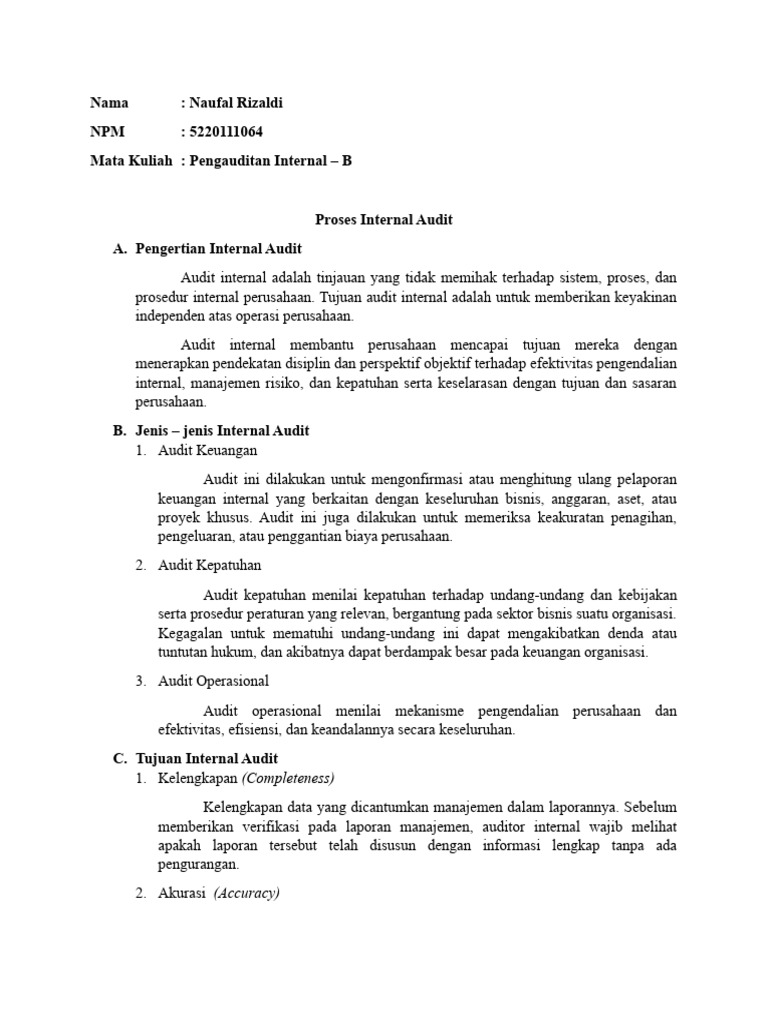 PI Proses Internal Audit | PDF