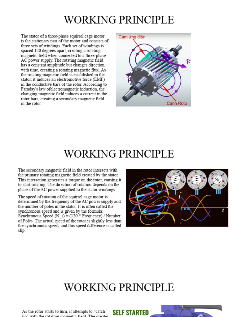 WORKING PRINCIPLE | PDF