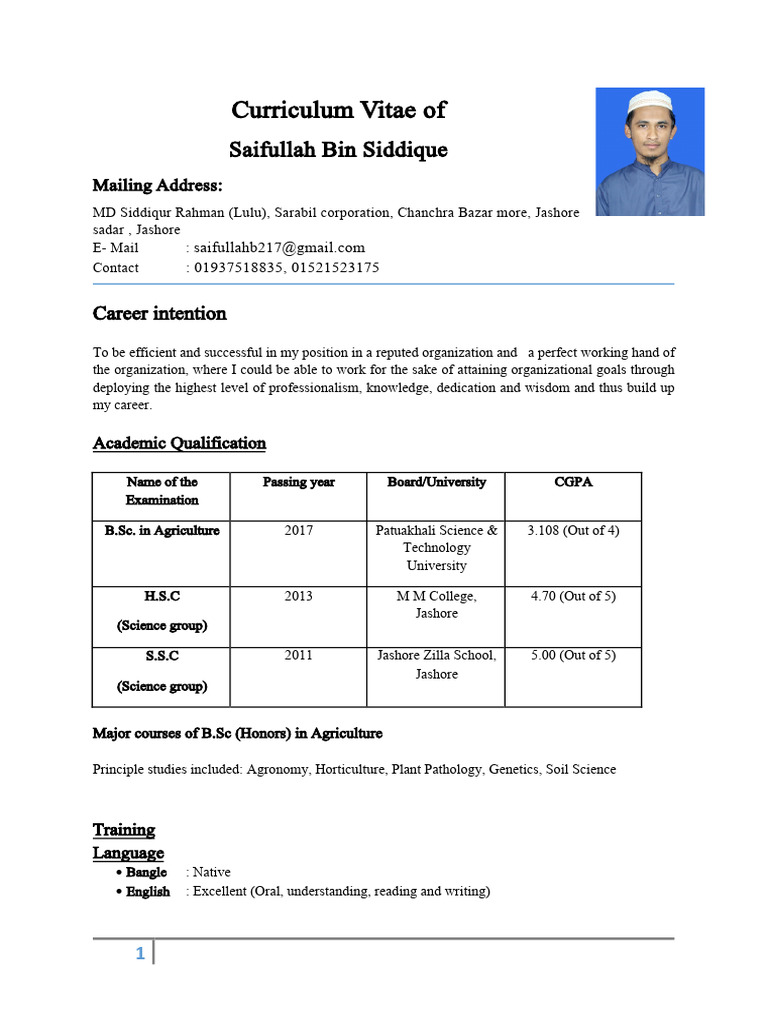 Cv of Saifullah PDF 2 | PDF
