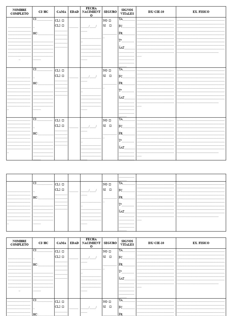 Hoja Pacientes | PDF