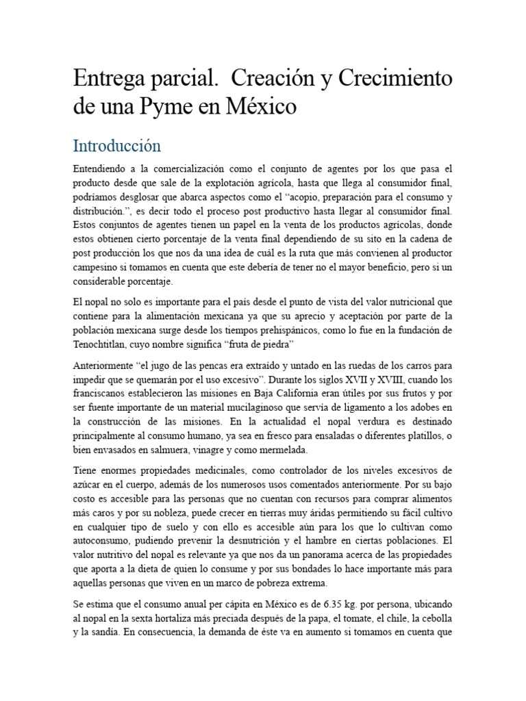 Entrega Parcial | PDF | Marketing | Business