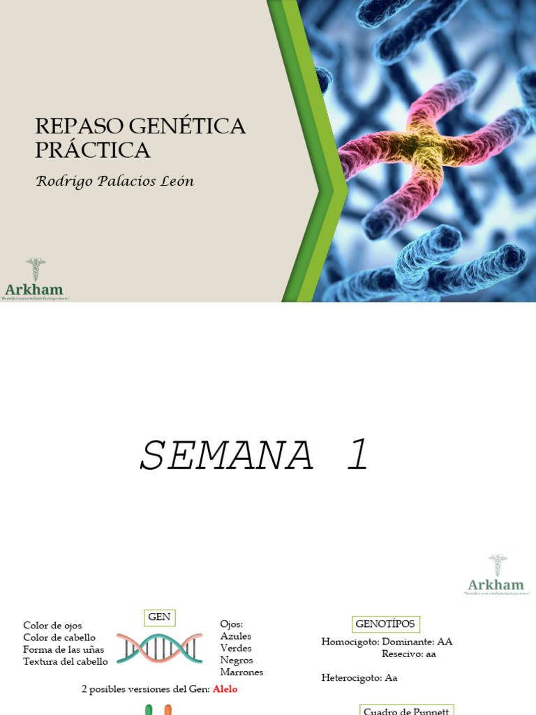 Repaso Práctico Genética | PDF | Dominancia (Genética) | Cigosidad