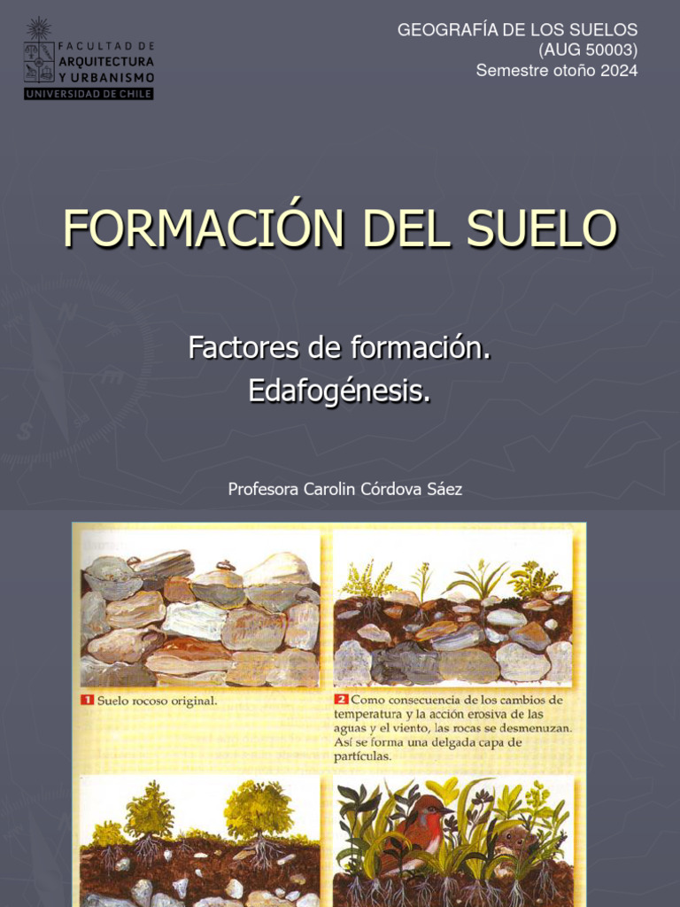 C Tedra 2. Formaci N Del Suelo | PDF | Suelo | Meteorización