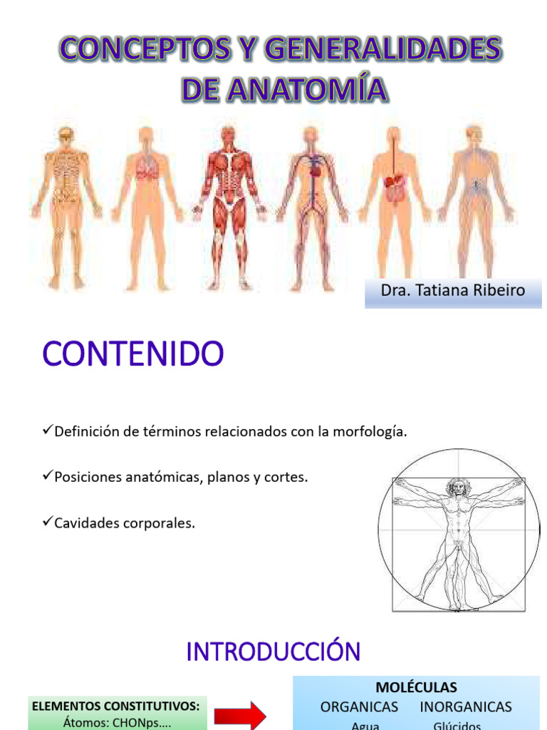 Conceptos y Generalidades de Anatomía | PDF | Hueso | Anatomía