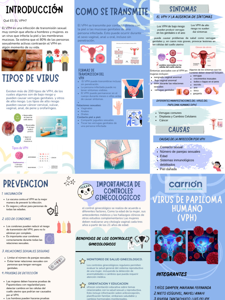 VPH Triptico | PDF | Inmunología | Medicina
