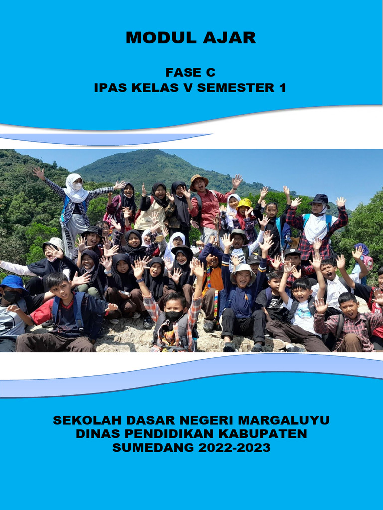 Sistem Peredaran Darah Kelas V | PDF | Karier & Perkembangan | Komputer
