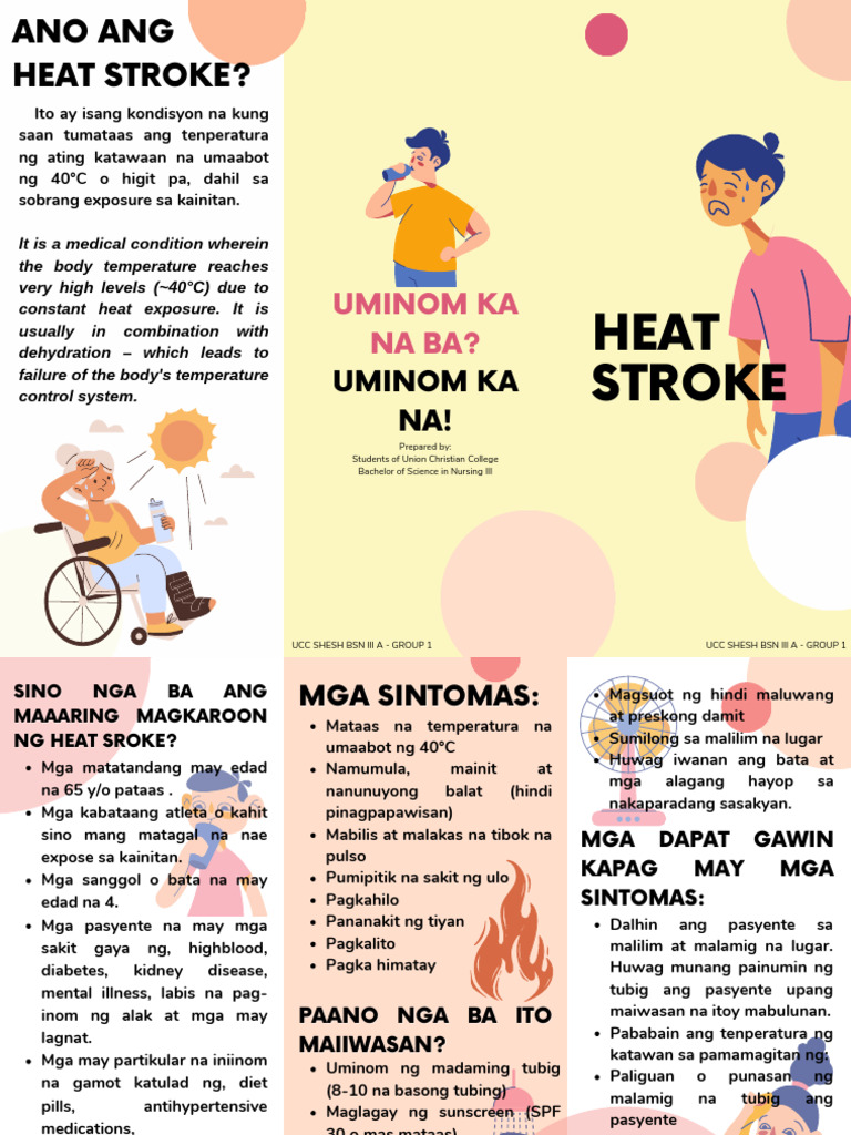 HEAT-STROKE - PDF N3A | PDF