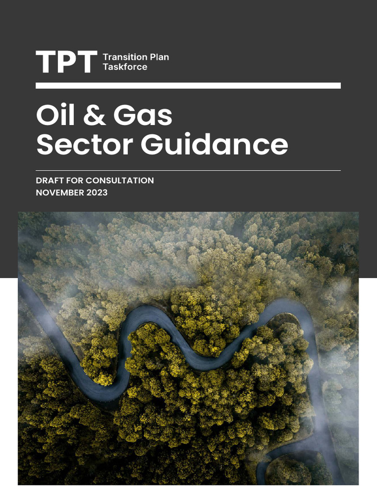 TPT Oil and Gas Sector Guidance | PDF | Climate Change Mitigation ...