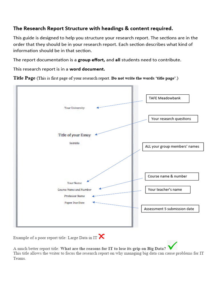 V2 Group Research Report Structure for STUDENTS Sem 1 2024 | PDF ...