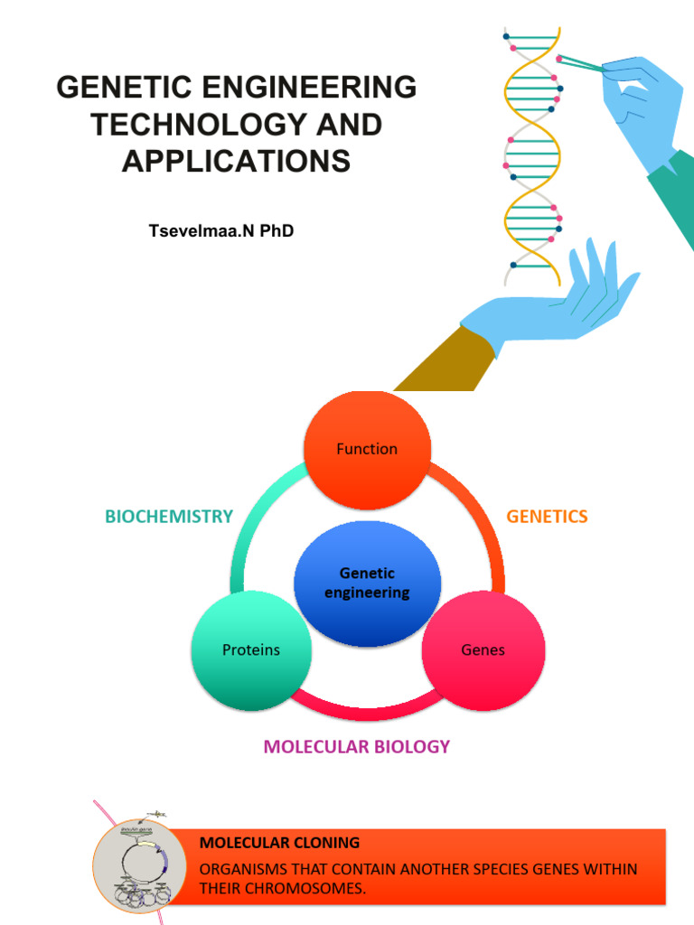 Genetic Ingeneering | PDF | Molecular Cloning | Recombinant Dna