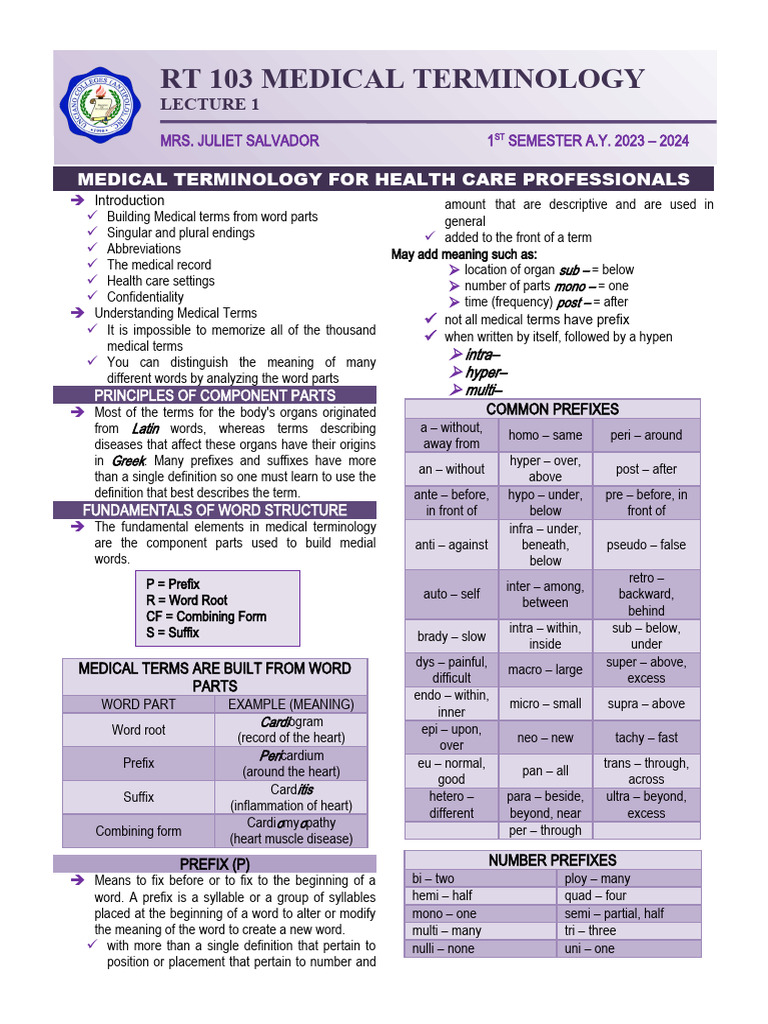 Medical Terminology Basics | PDF | Anatomical Terms Of Location | Anatomy