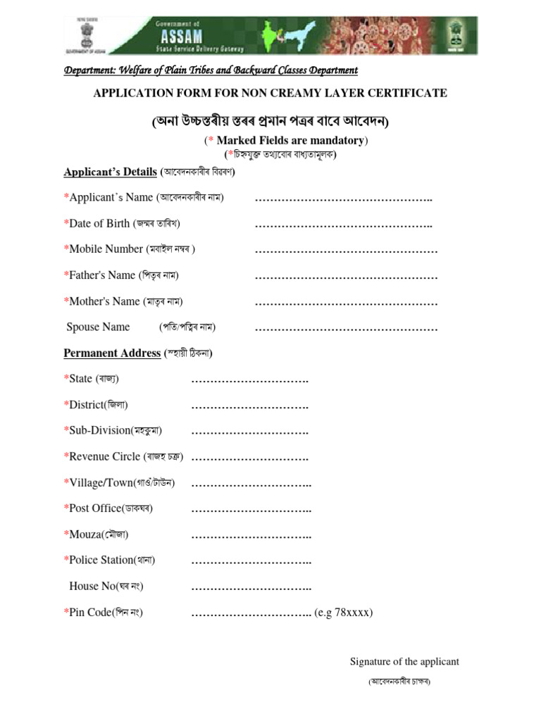 NCL Certificate Application Form | PDF