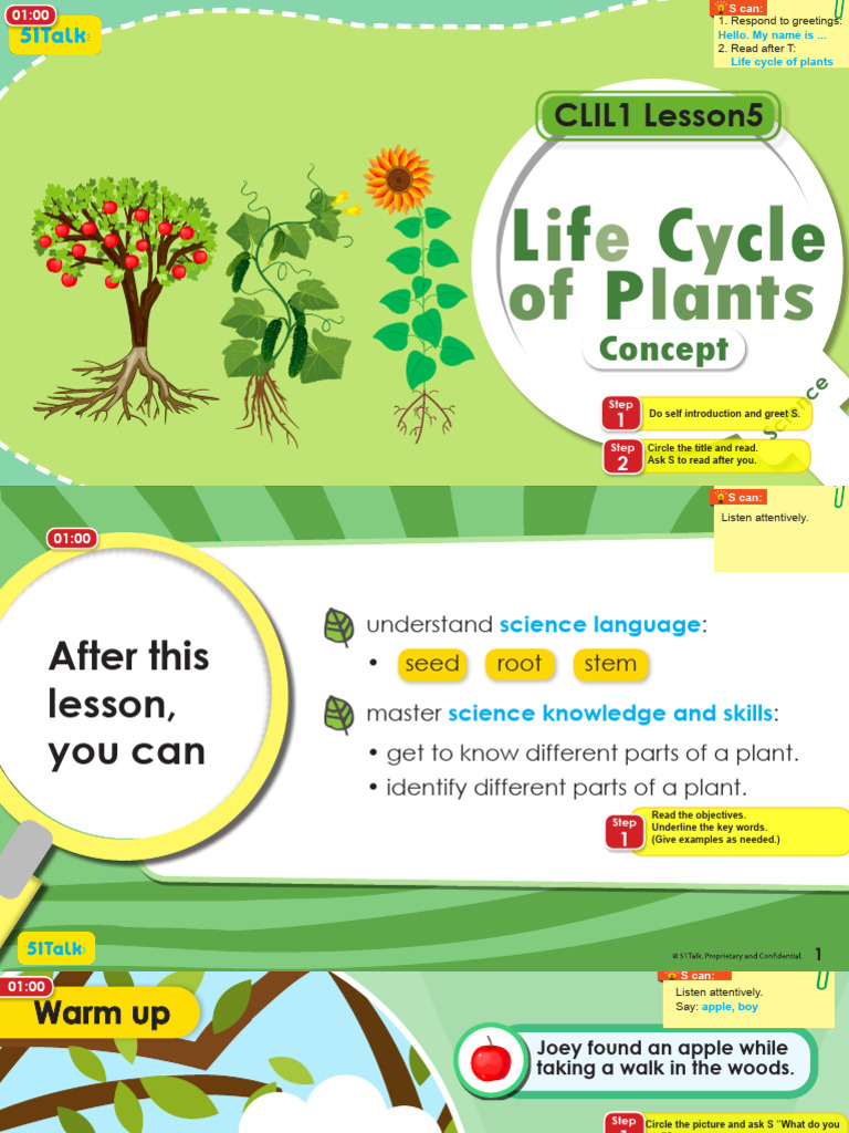 Science Lesson 5 - Life Cycle of Plants | PDF | Flowers | Plants