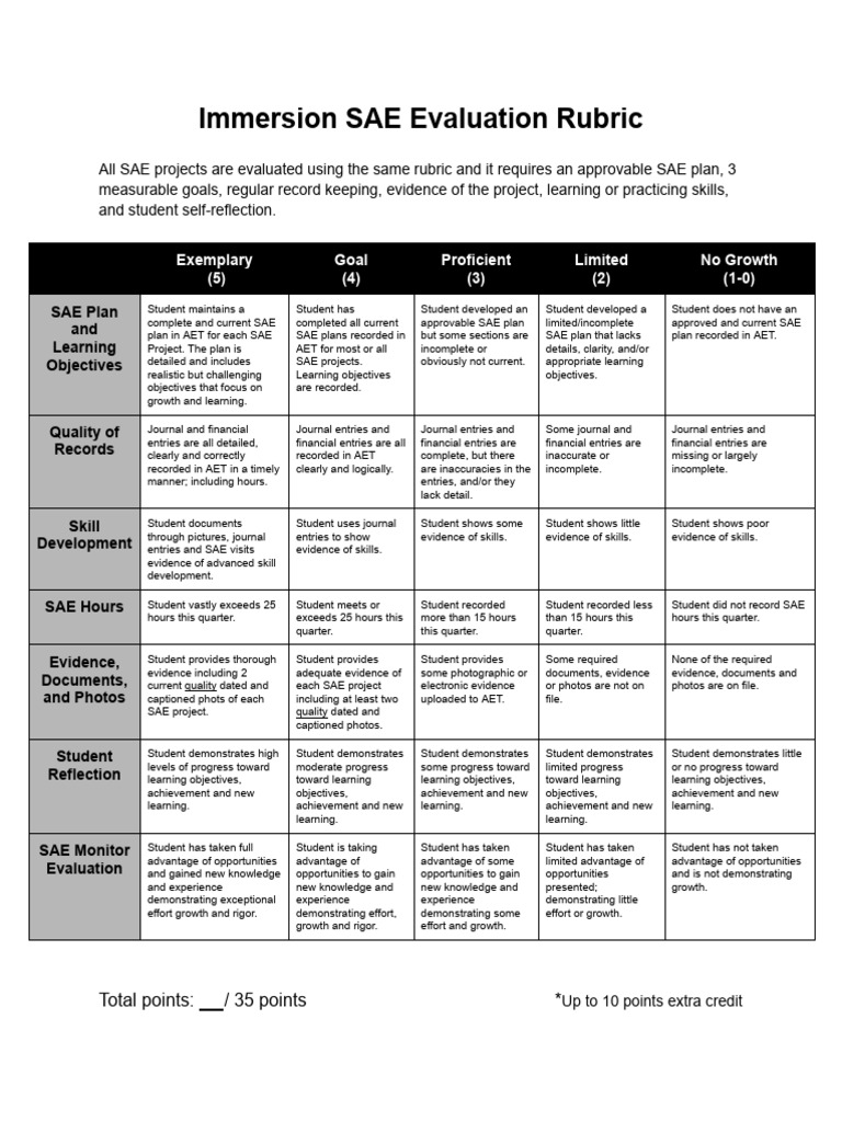 Immersion Sae Rubric | PDF | Cognition