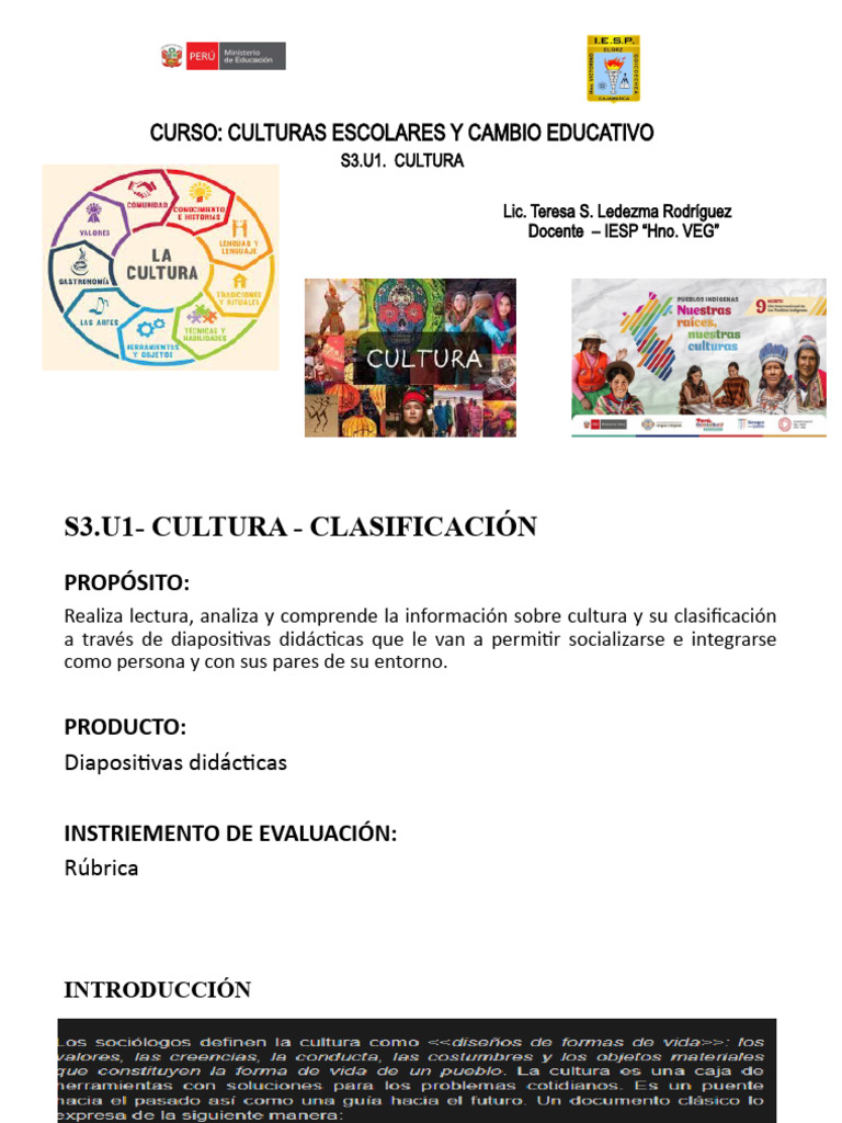 S3.u1. Cultura - Clasificacion | PDF | Sociedad | Socialización