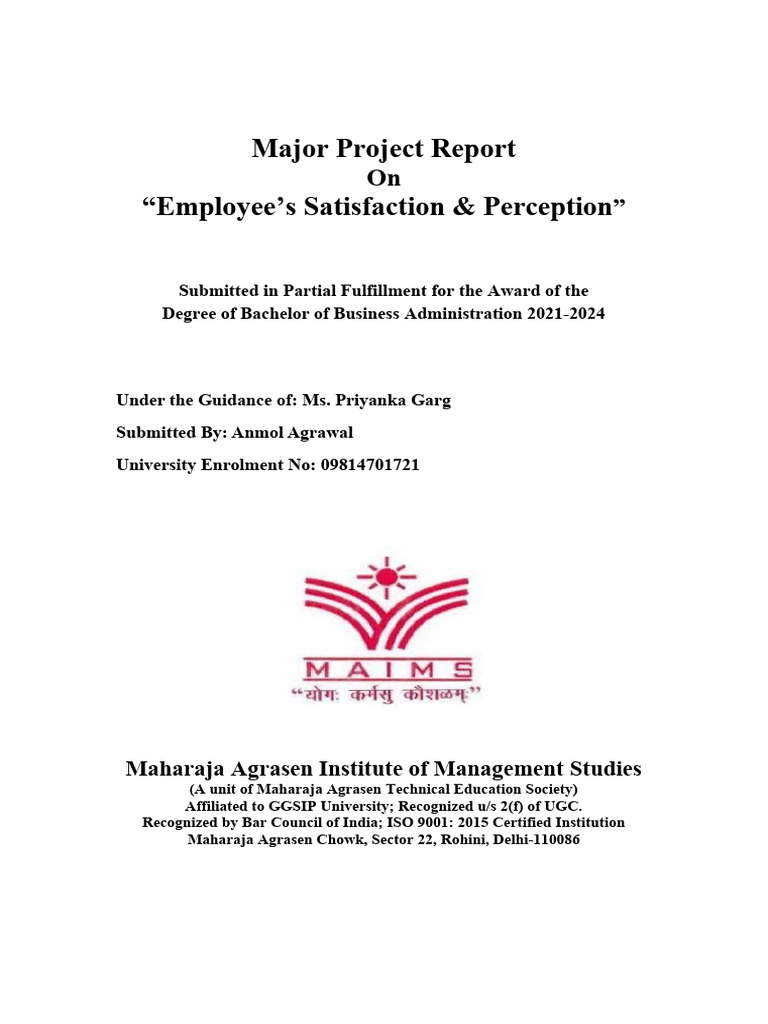 Anmol Final | PDF | Job Satisfaction | Employment