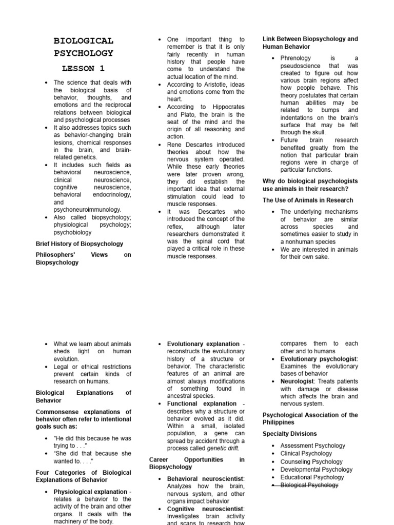 Bio Psych Reviewer | PDF | Visual System | Perception