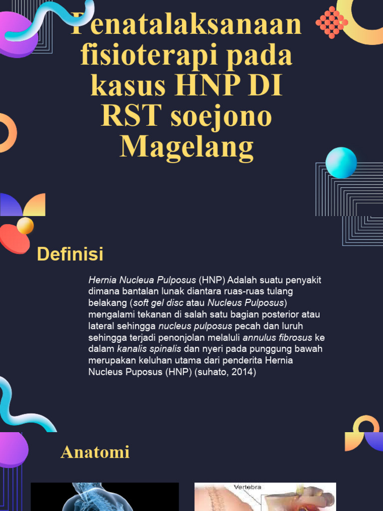 Presentasi HNP | PDF