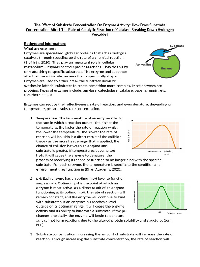 Depth Study The Effect of Substrate Concentration On Enzyme Activity ...