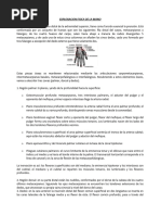 Mano en Garra: Causas y Tratamientos | PDF | Mano | Nervio