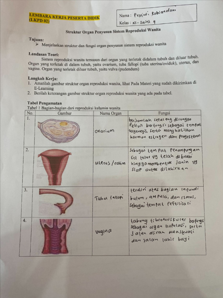 Tugas Biologi Reproduksi Wanita | PDF