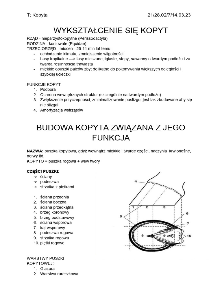 Kopyta | PDF