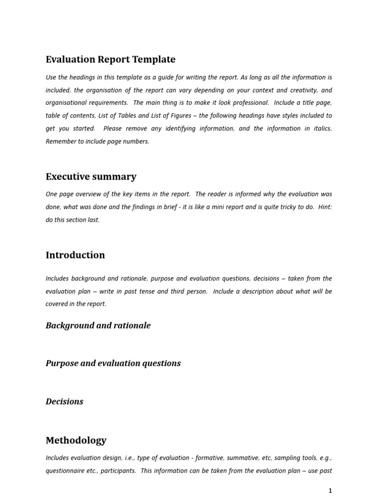 Evaluation Report Template Guide | PDF