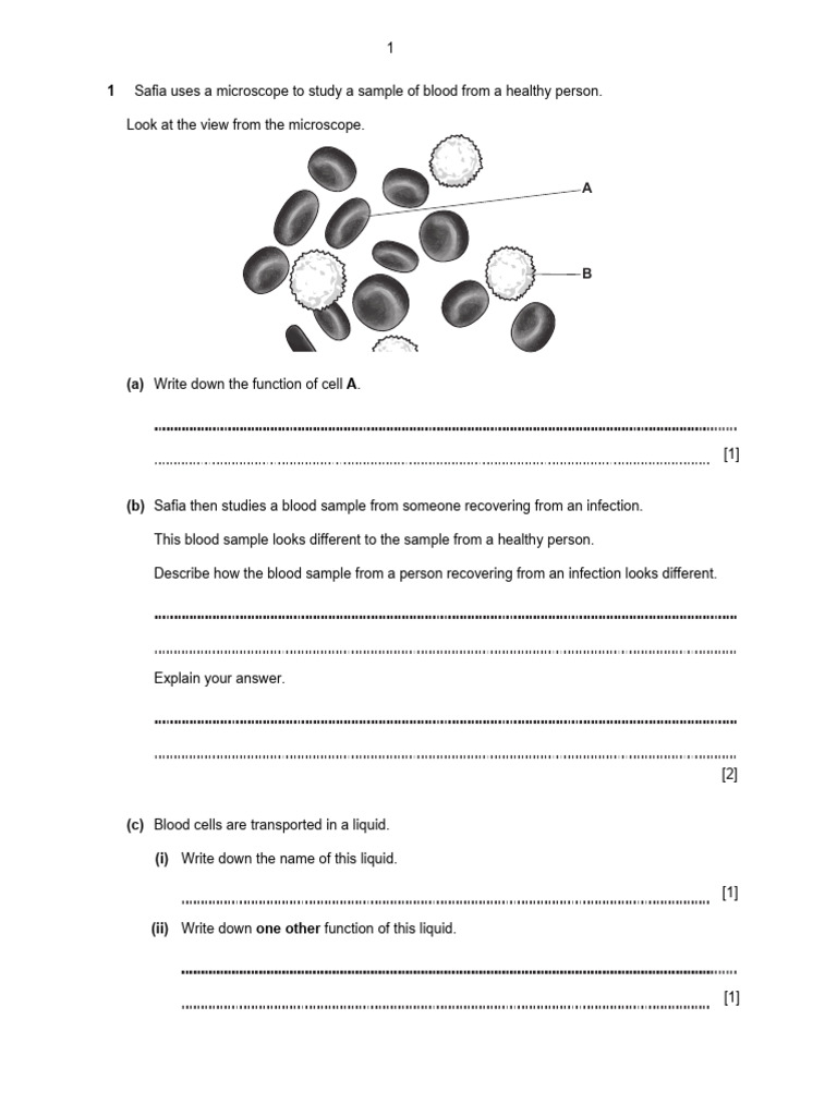 Science - Stage 8 Revision Exercise | PDF | Chromatography | Chemistry