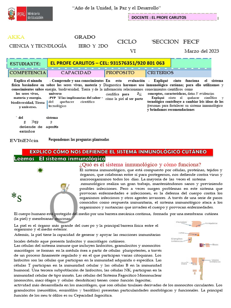 Evaluacion Diagnostica - 1ero y 2do Grado-Ciencia y Tecnologia - 00001 | PDF | Sistema inmune ...