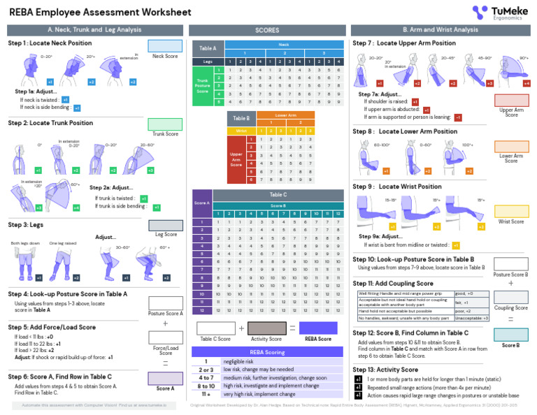 REBA Assessment Automation Guide | PDF | Anatomical Terms Of Motion