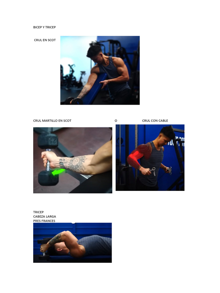 Bicep y Tricep | PDF