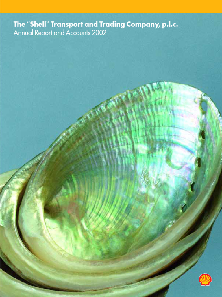 Annual Report and Accounts 2002: The "Shell" Transport and Trading ...