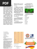 Minasa Cookies of Bustos, Bulacan | PDF | Foods