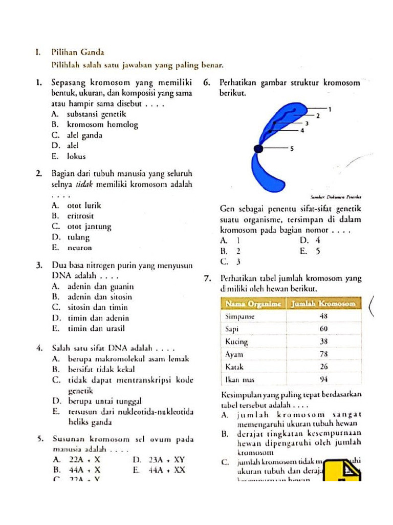 Substansi Genetika, Soal DR Ebook | PDF