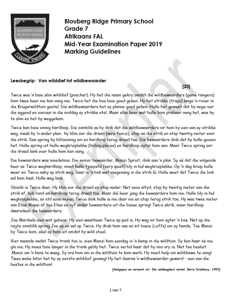 Grade 7 Afrikaans Marking Guidelines FAL Mid Year Examination 2019 | PDF