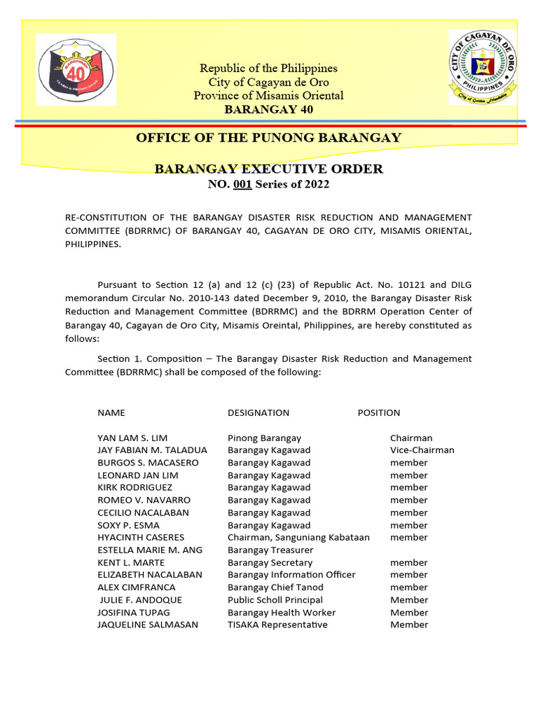 BDRRMC Eo 2021 | Download Free PDF | Disaster Risk Reduction | Emergency